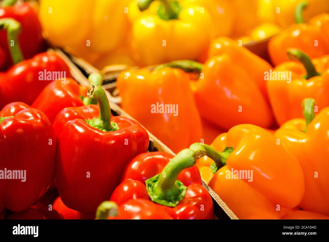 Colourful mix of different red, orange, yellow fresh bell pepper at ...