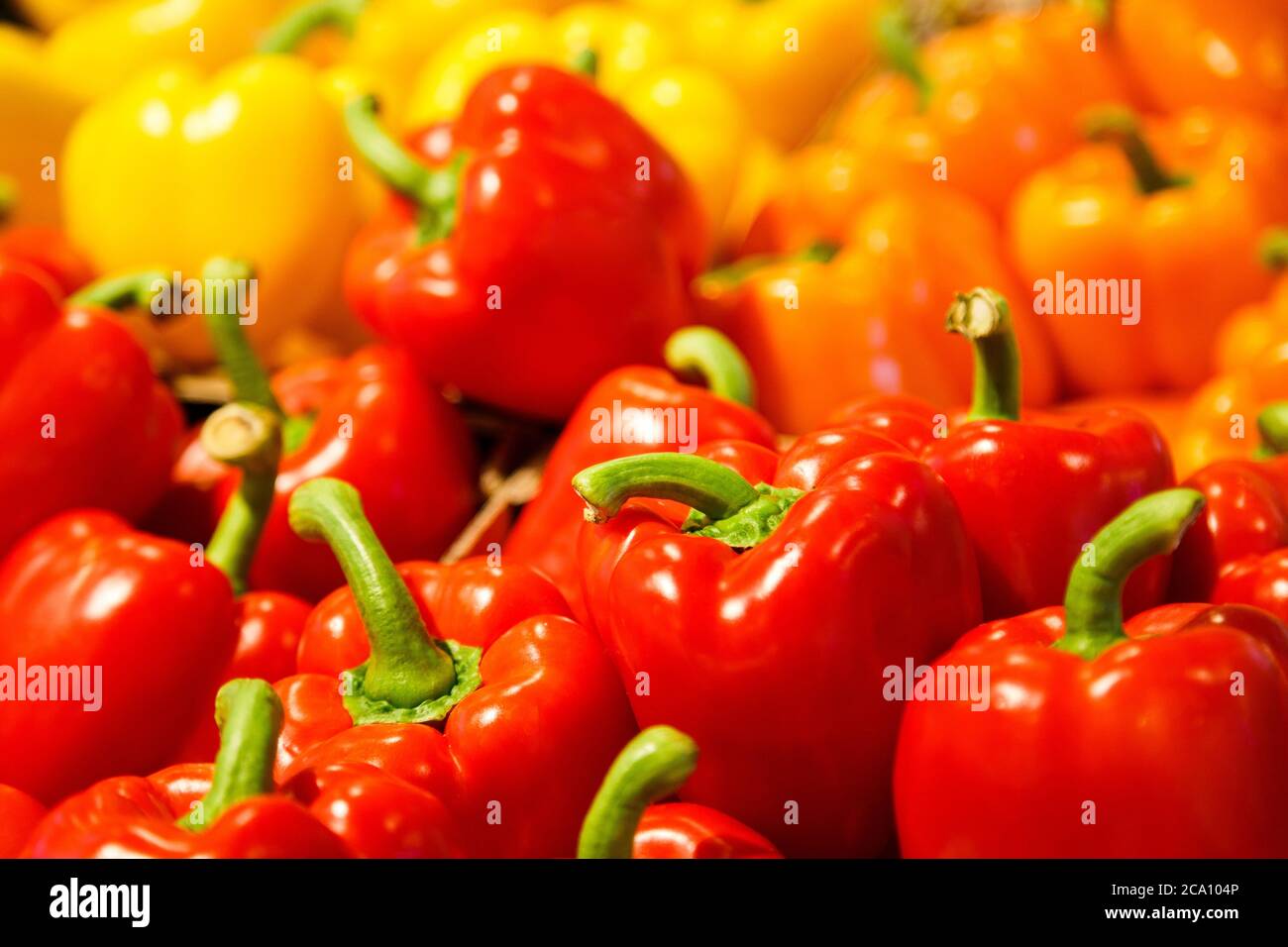 Colourful mix of different red, orange, yellow fresh bell pepper at ...