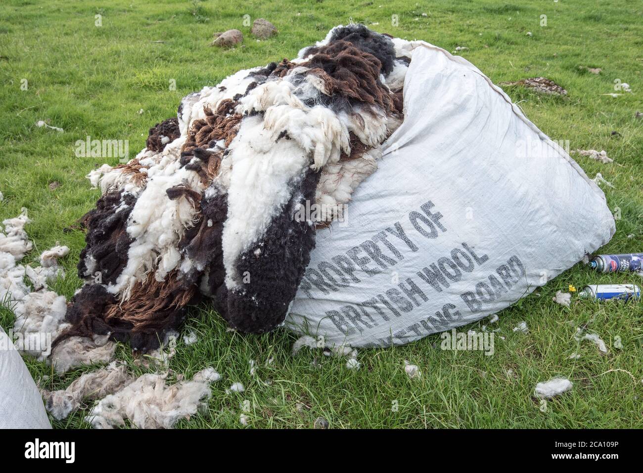 Wool as organic compost hi-res stock photography and images - Alamy