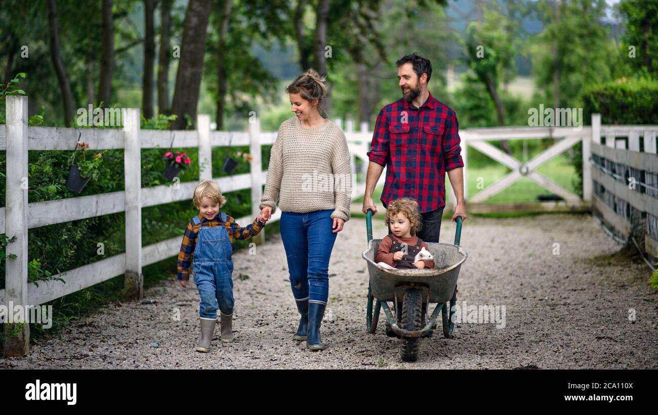 Portrait of family with small children walking on farm Stock Photo - Alamy
