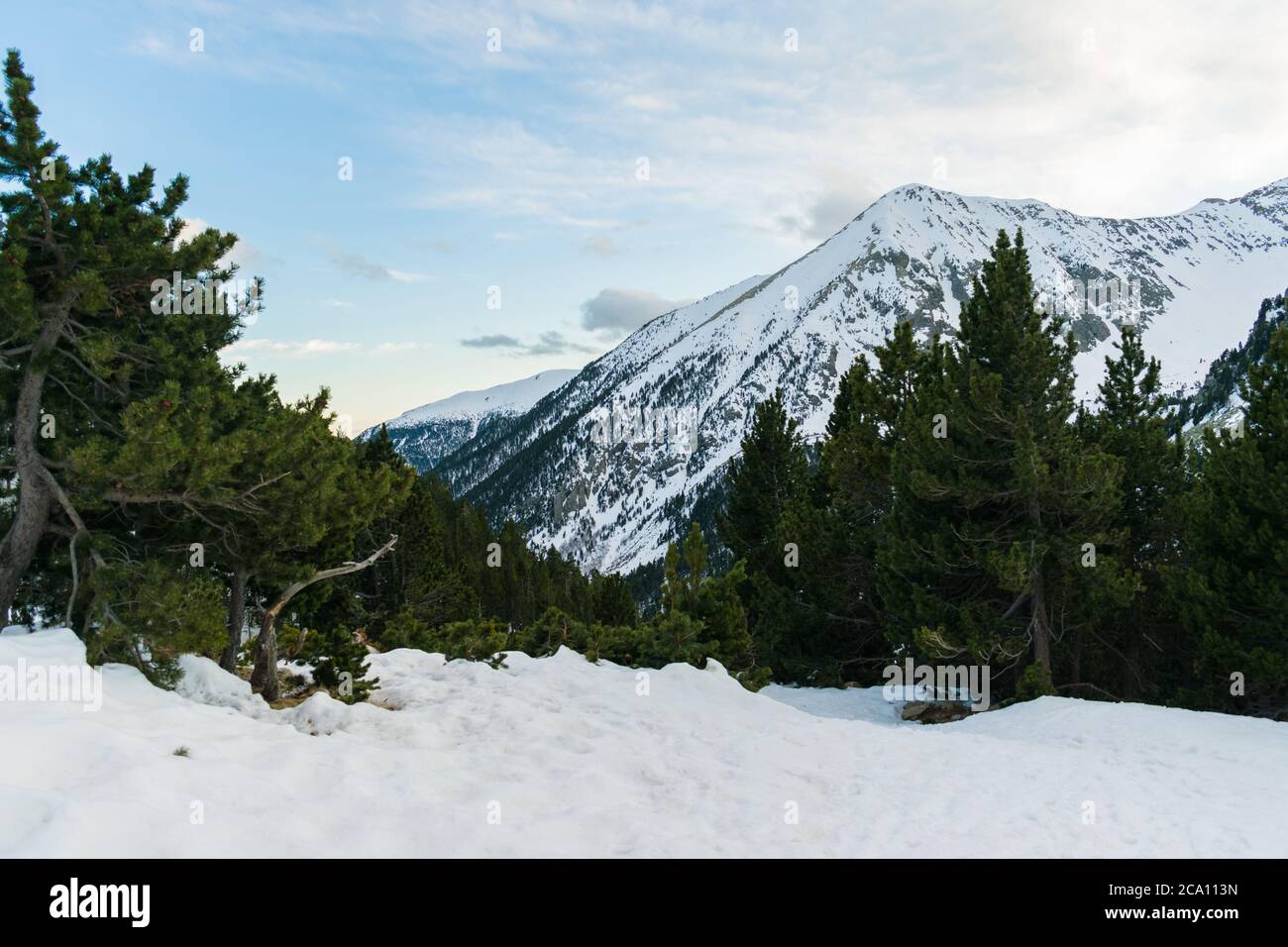 Views of a snowy peak among the snowy green forest Stock Photo - Alamy