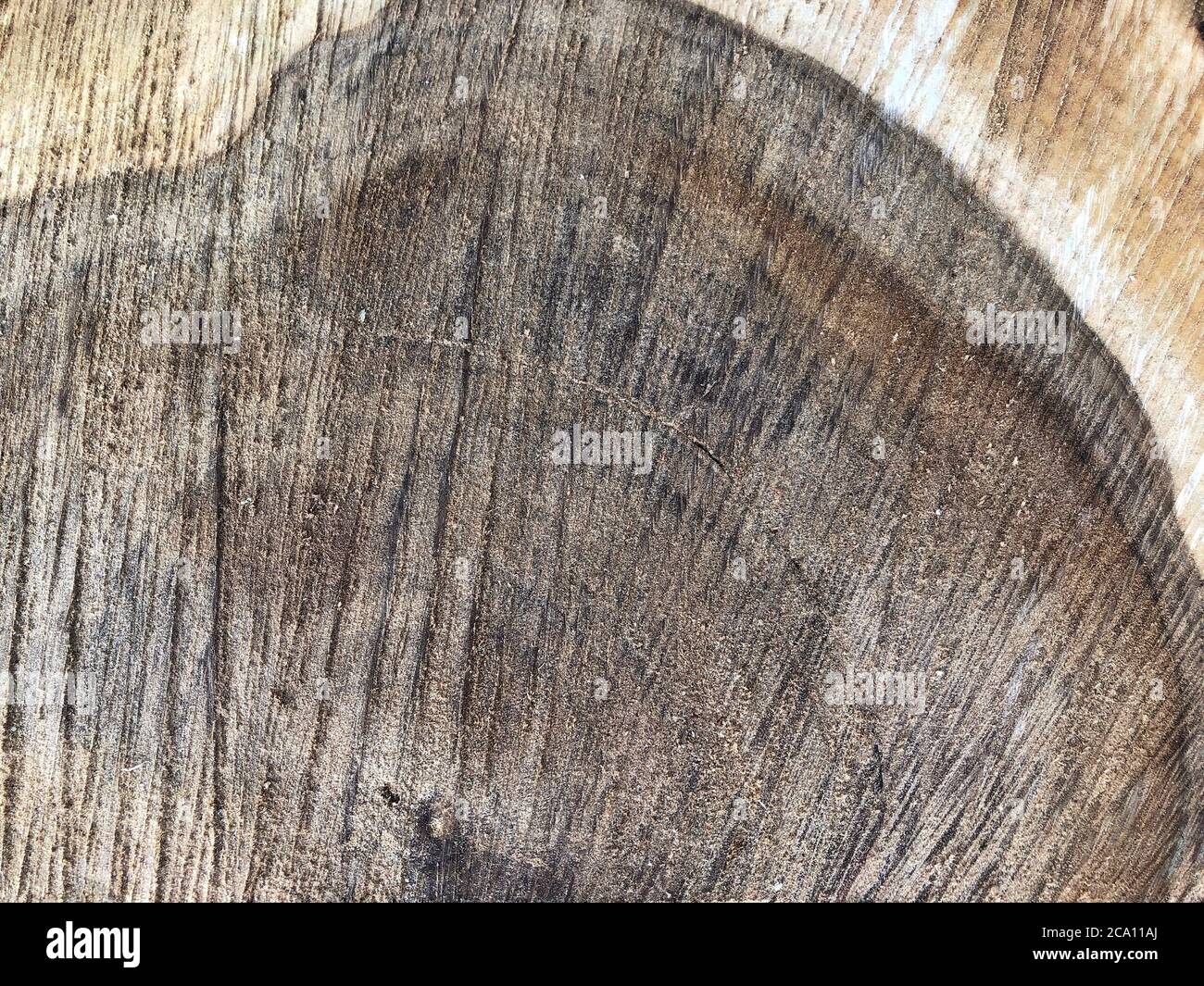 core wood texture. Top view Stock Photo - Alamy