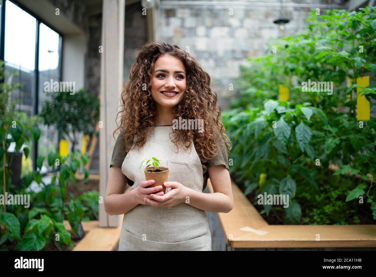Woman inside greenhouse hi-res stock photography and images - Alamy