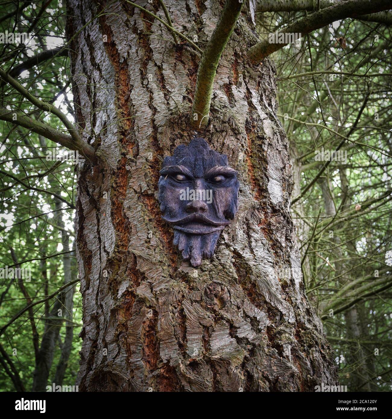 Sinister Face In Bushes