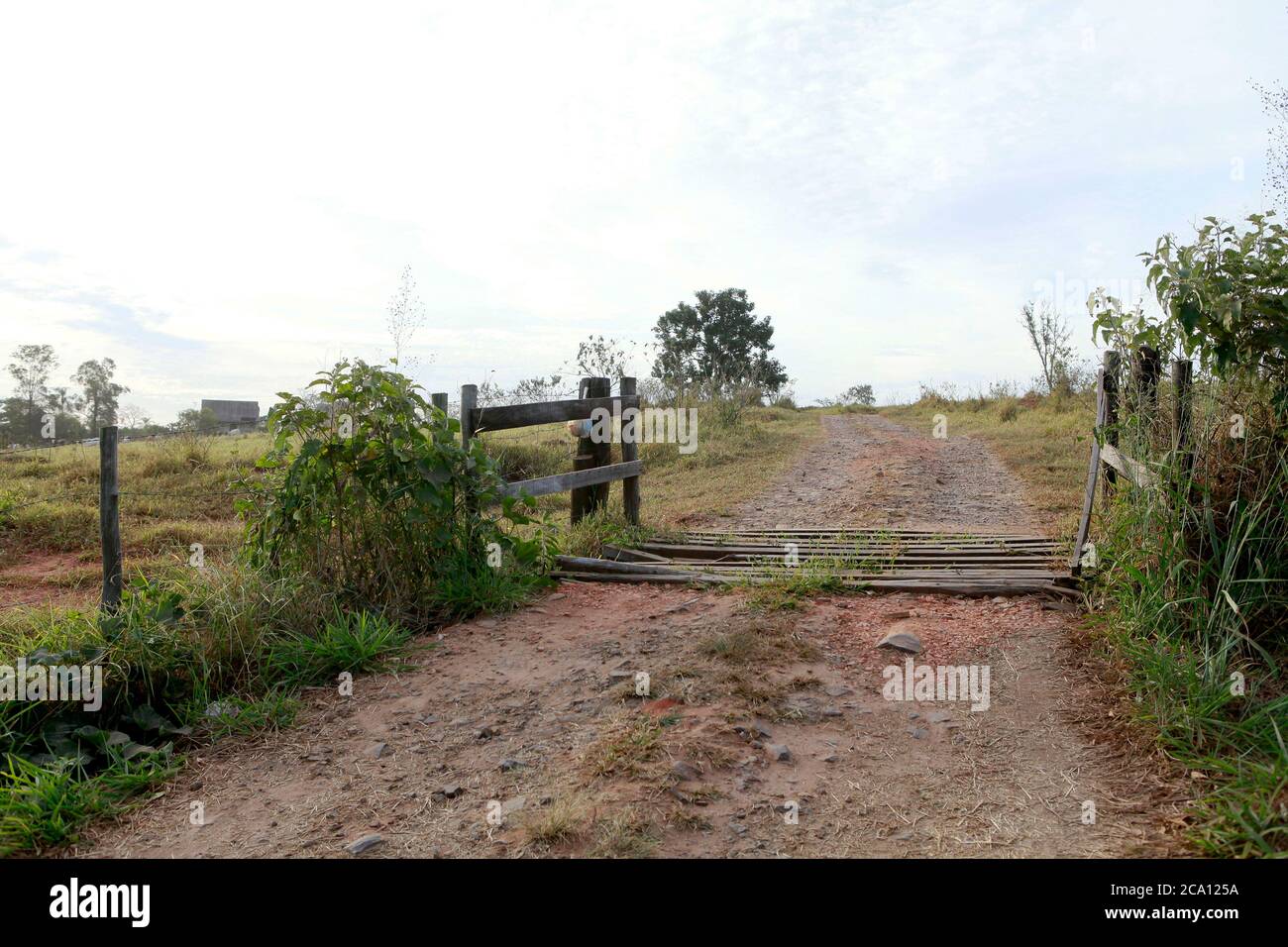 rural road with gate on countrsyde of Brazil Stock Photo - Alamy