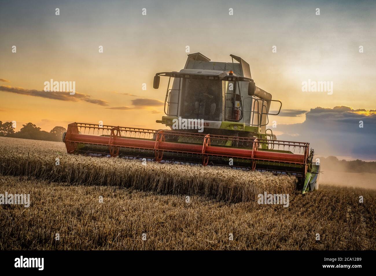 Harvesting the crop Stock Photo - Alamy