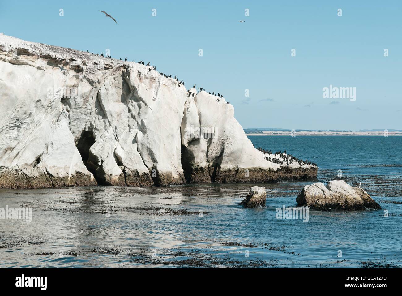 Cliffs, Rocks, Arches, and Flock of Birds. Shell Beach Area of Pismo ...