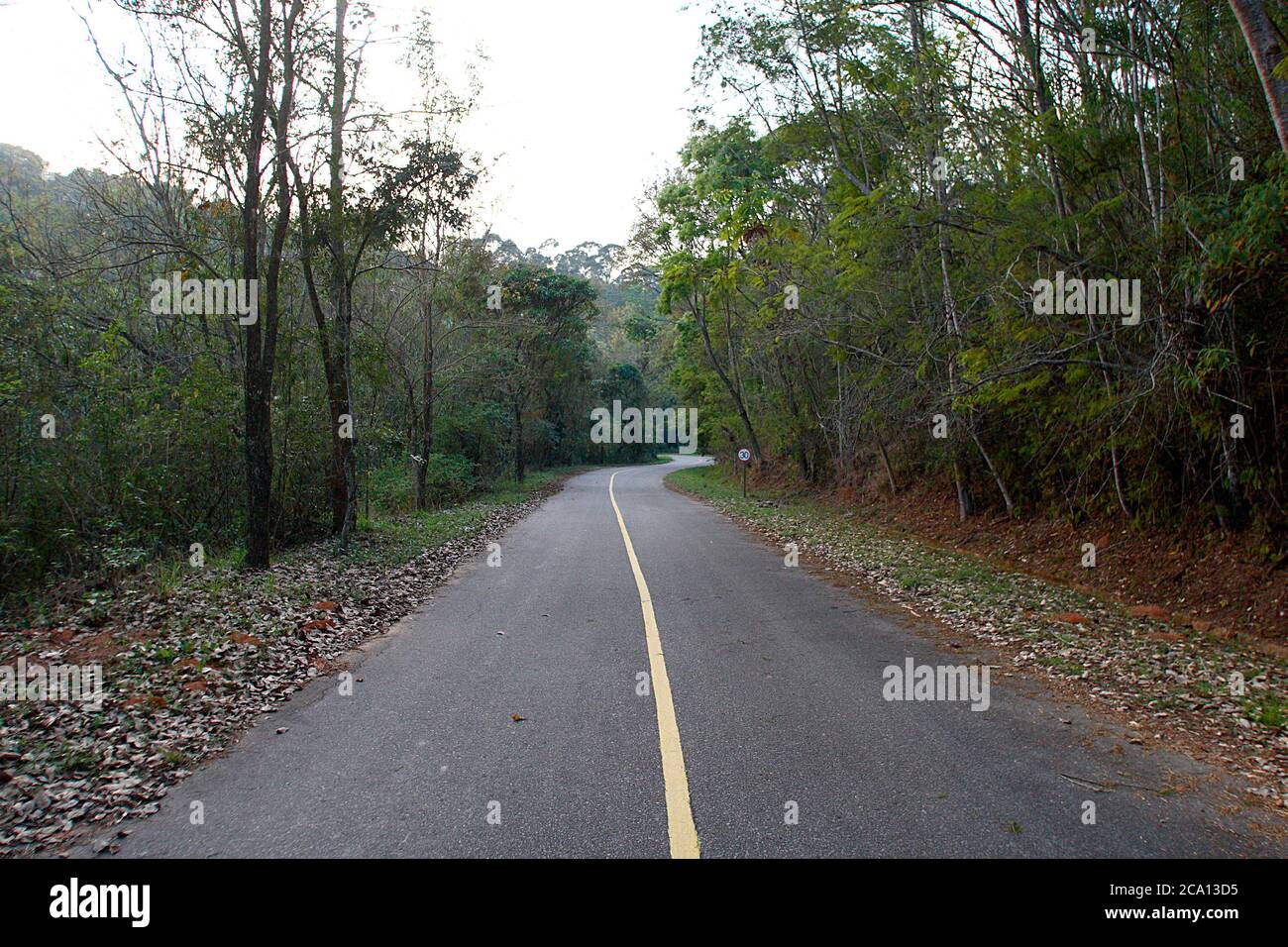 Green traffic light brazil hi-res stock photography and images - Alamy