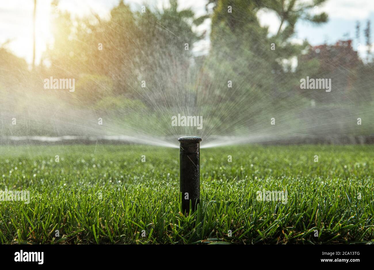 Gardening and Landscaping Industry. Automatic Backyard Garden Lawn ...