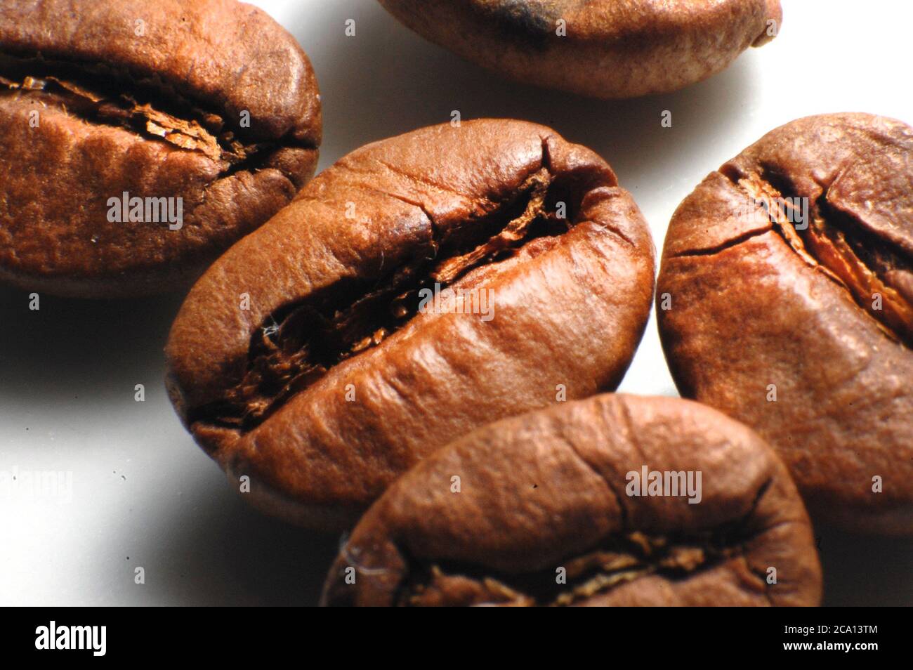 Coffee cup beans Stock Photo - Alamy