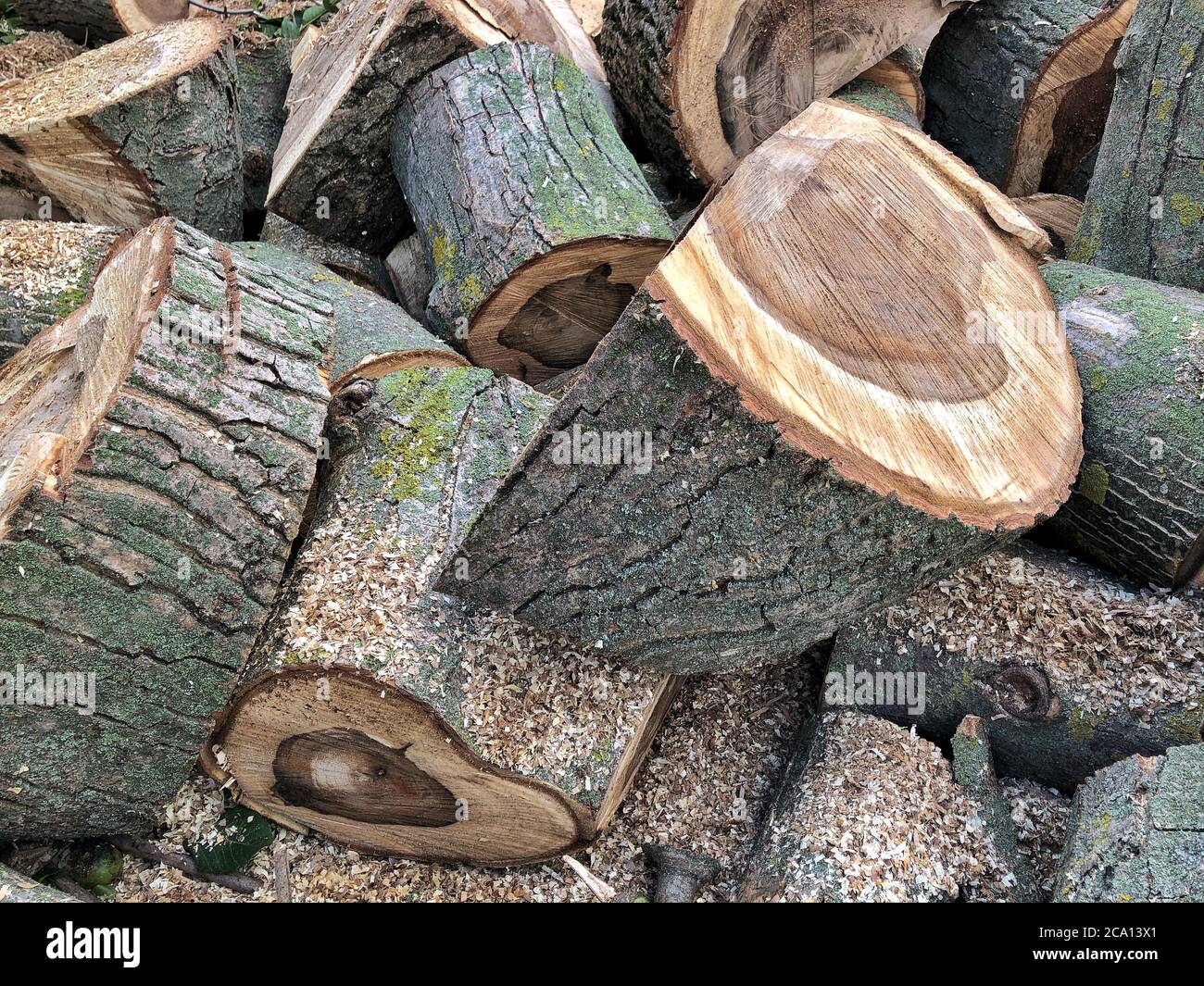 Wood log background hi-res stock photography and images - Alamy