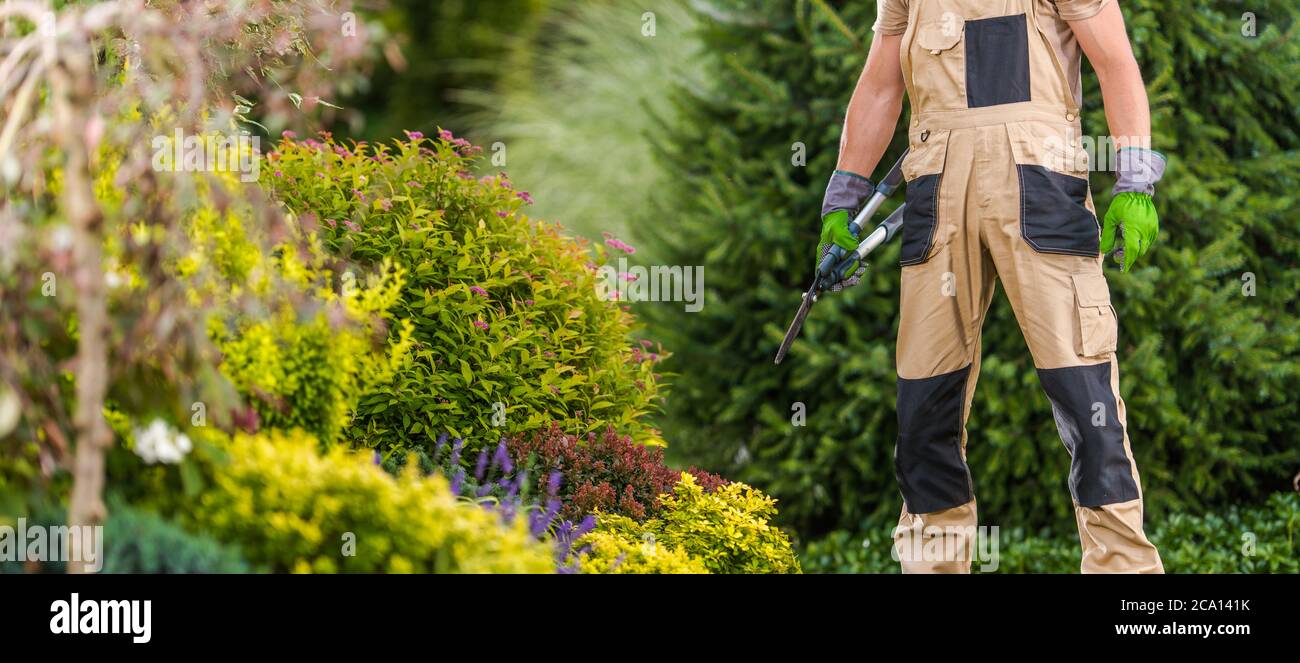 Caucasian Professional Gardener in His 40s Ready For His Landscaping ...
