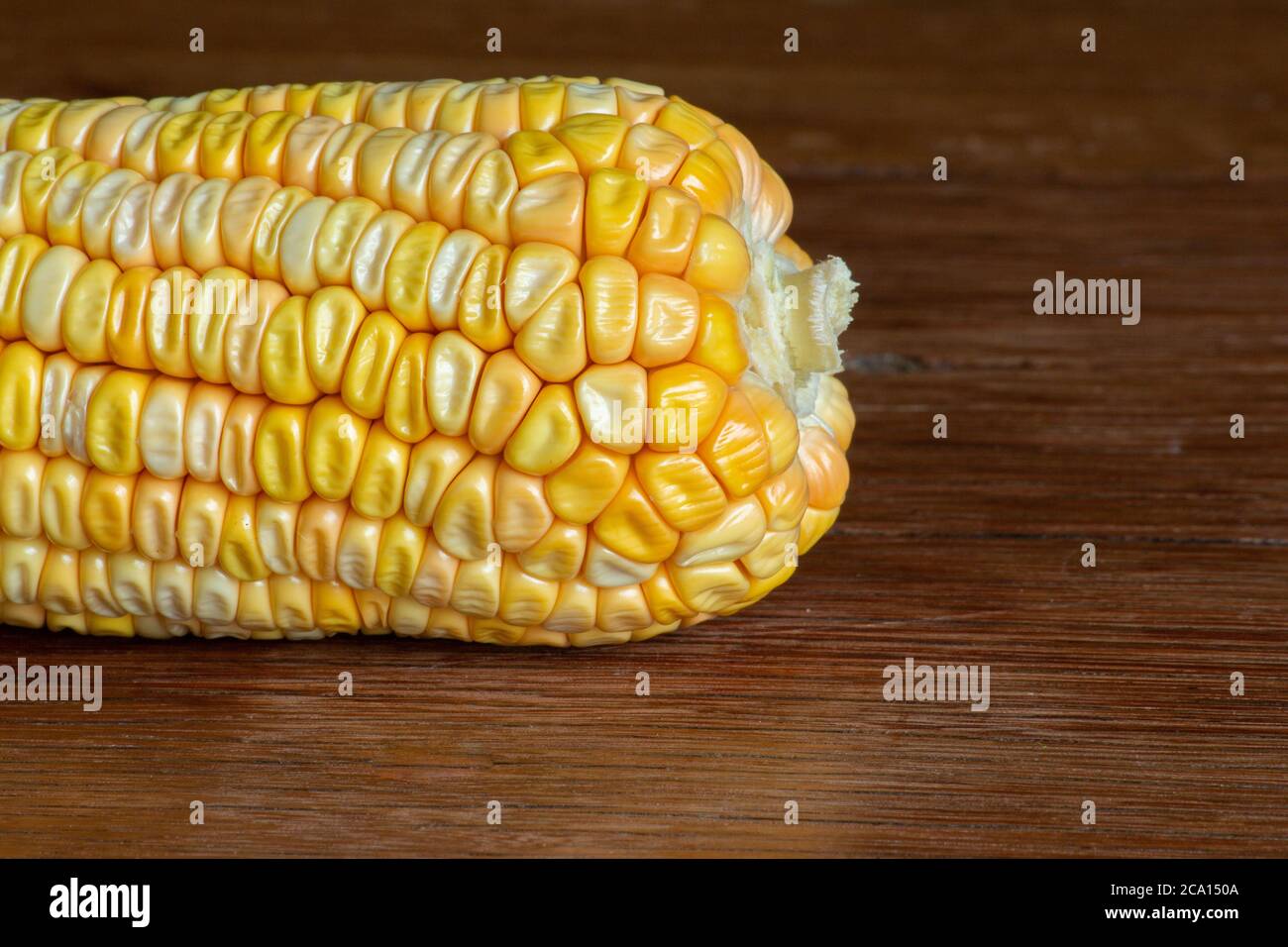 Corn cob on dark wooden rustic background. Detail texture. Macro Stock ...