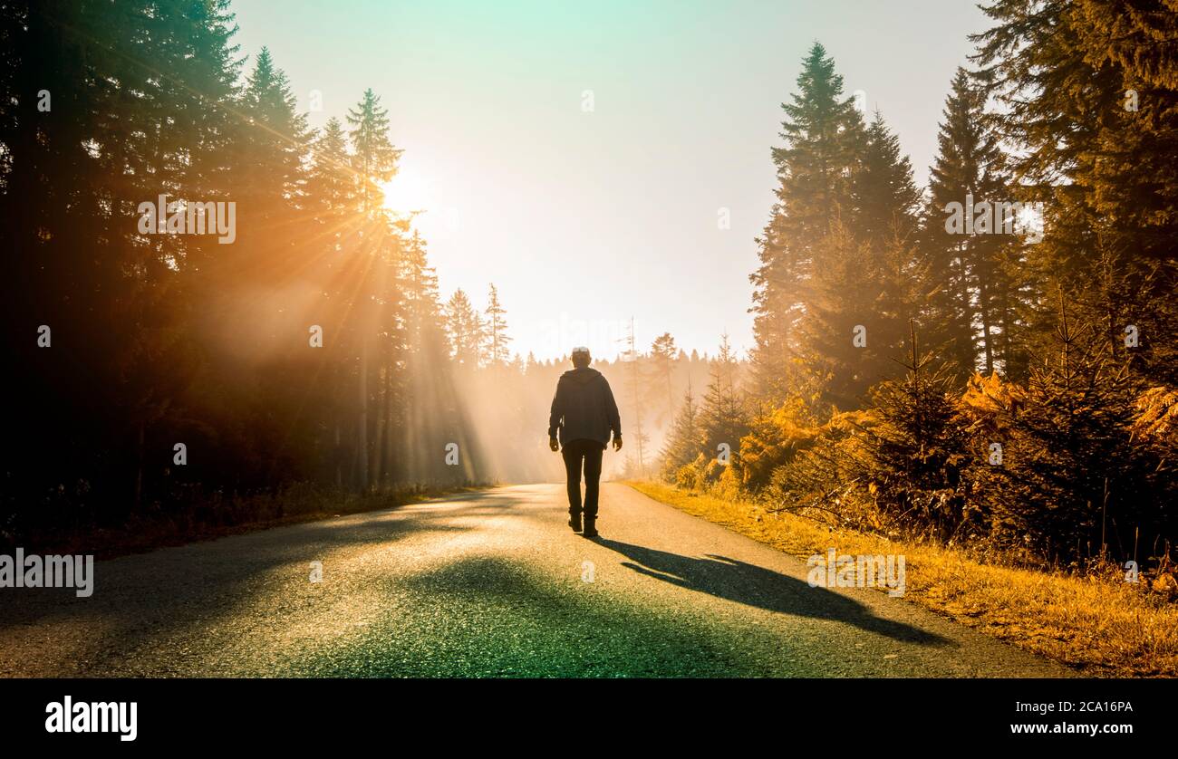 Man walking into the woods Stock Photo - Alamy