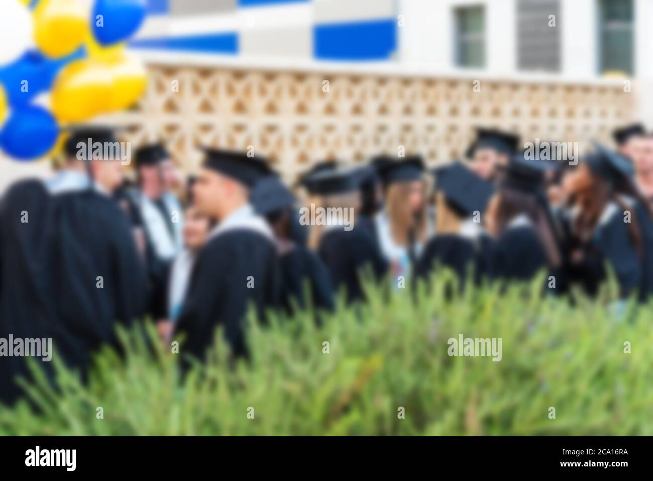 Multi Races College Students