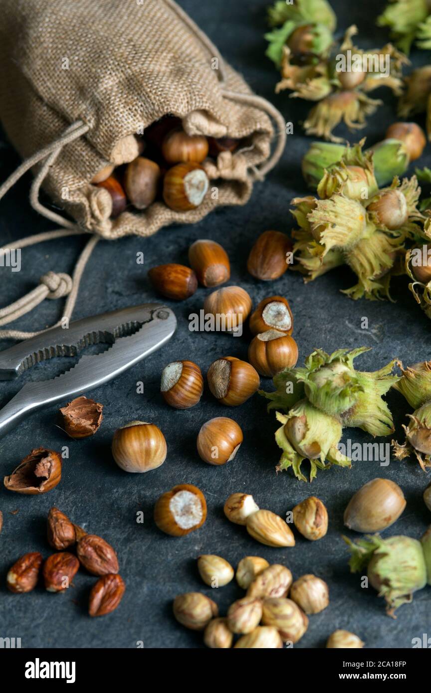 Cobnuts cobnut hi-res stock photography and images - Alamy