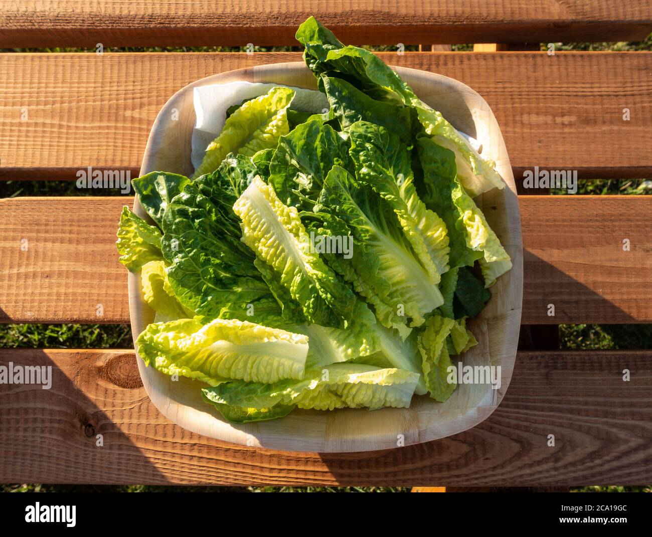 Bowl of lettuce leaves hi-res stock photography and images - Alamy