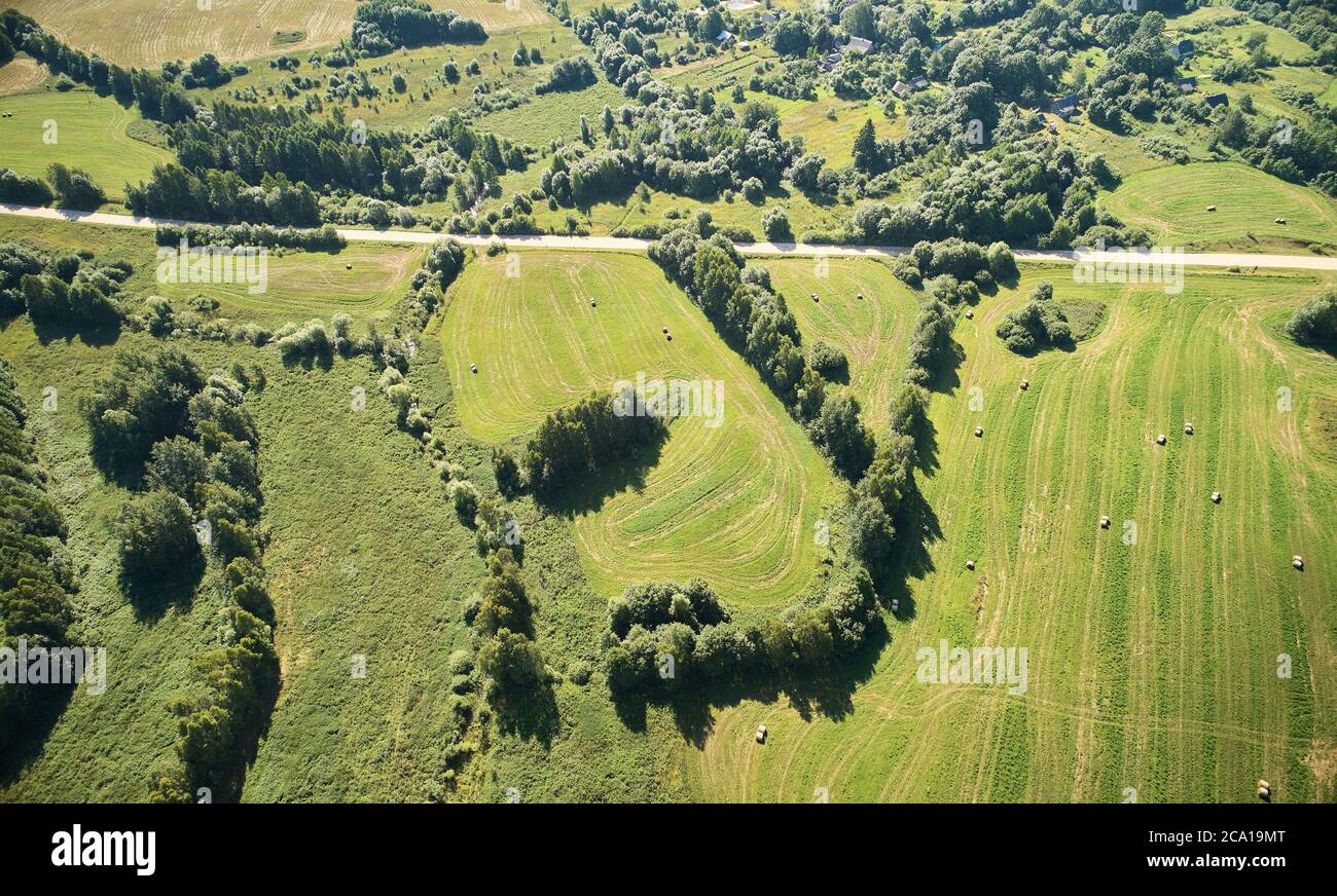 Y letter forest shape in field aerial above top view Stock Photo - Alamy