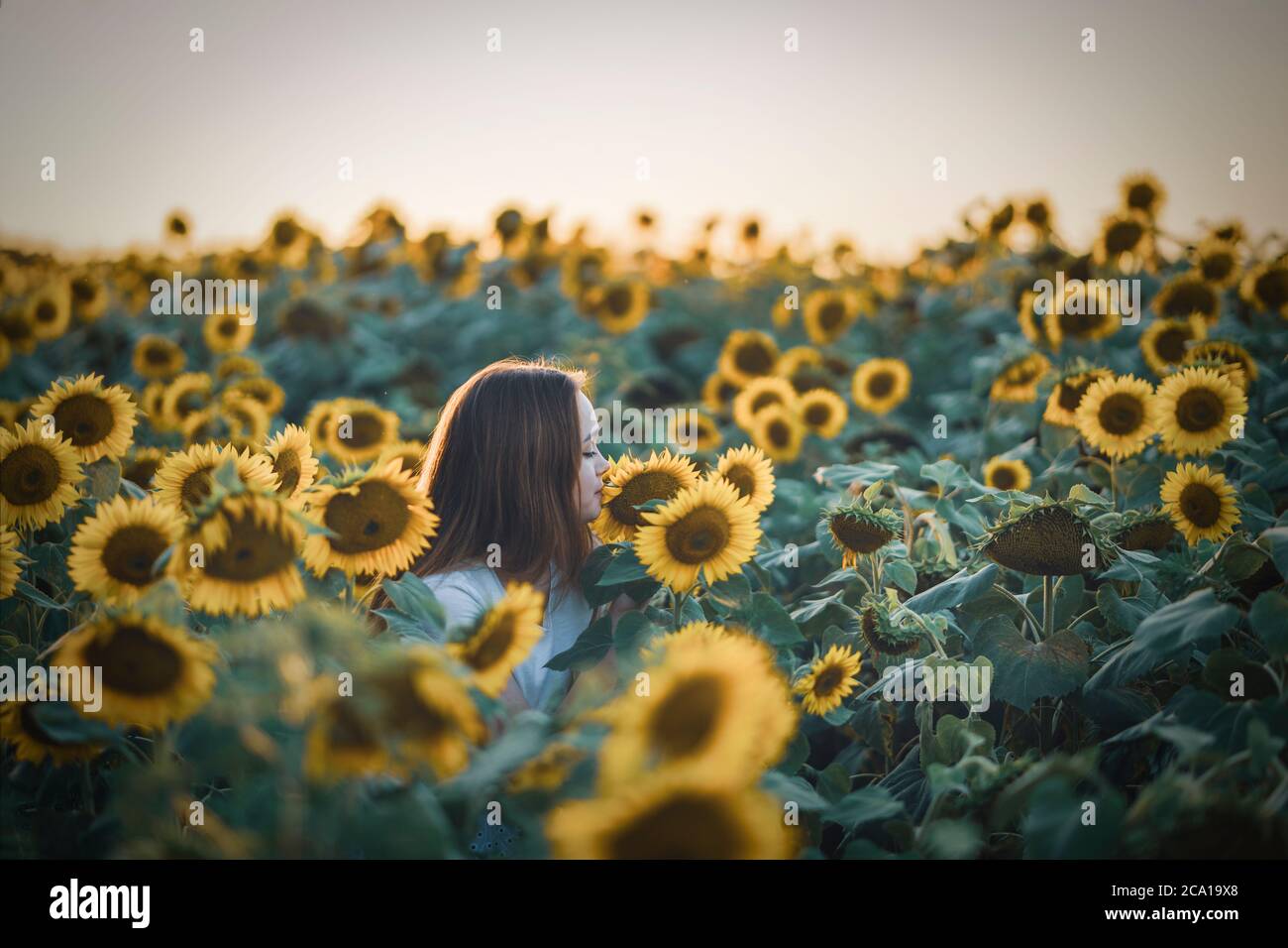 Happy beautiful female smell a sunflower flower with close eyes ...