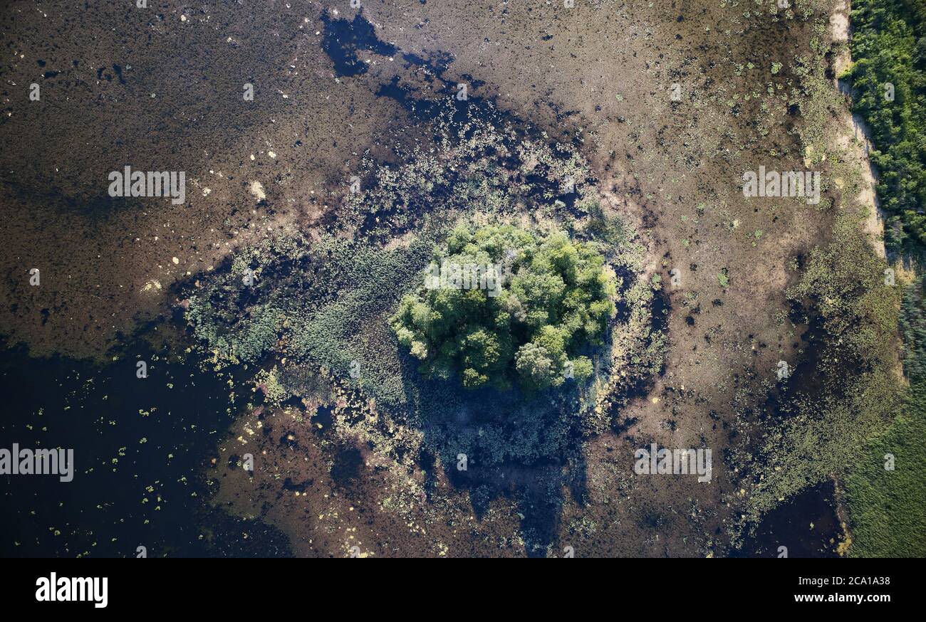 Small island on swamp aerial drone top view Stock Photo - Alamy