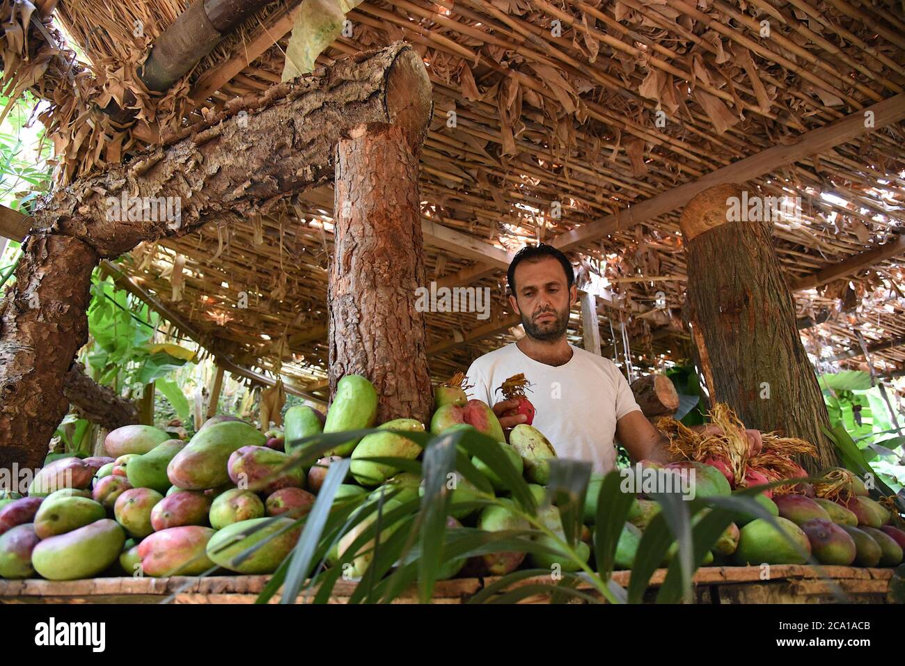 Tartous, Syria. 3rd Aug, 2020. Hasan Muhammad makes tropical cocktails ...