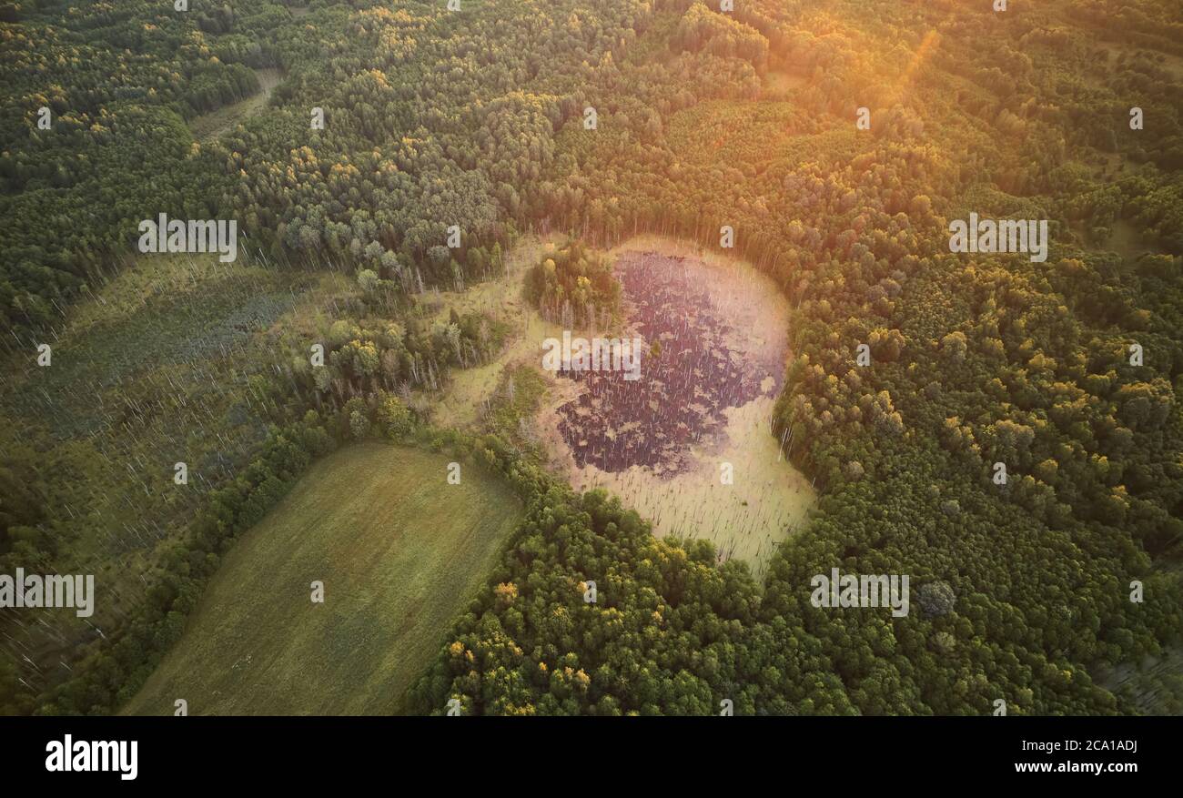 Swamp in forest background aerial above top view Stock Photo - Alamy