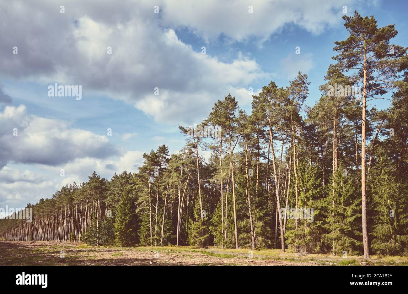 Sunny scene hi-res stock photography and images - Alamy