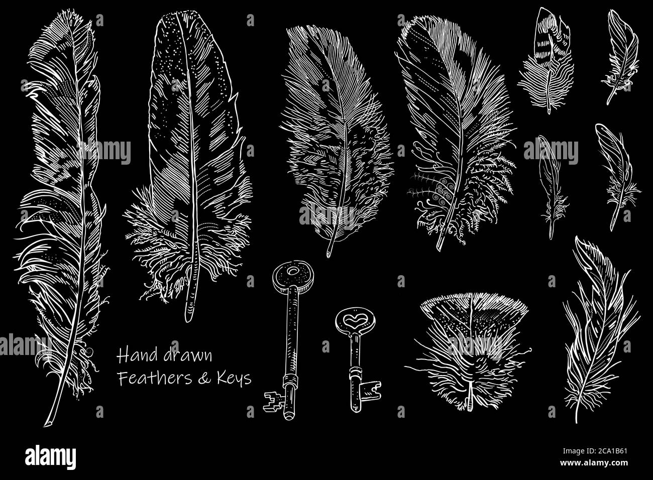 Feathers of birds Stock Vector Images - Alamy