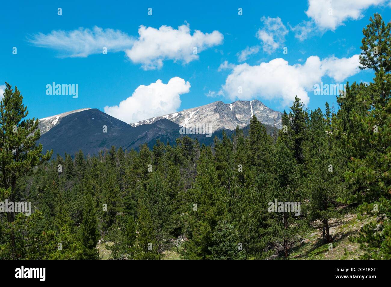 Evergreen forest with the Rocky Mountains in the background, Colorado ...