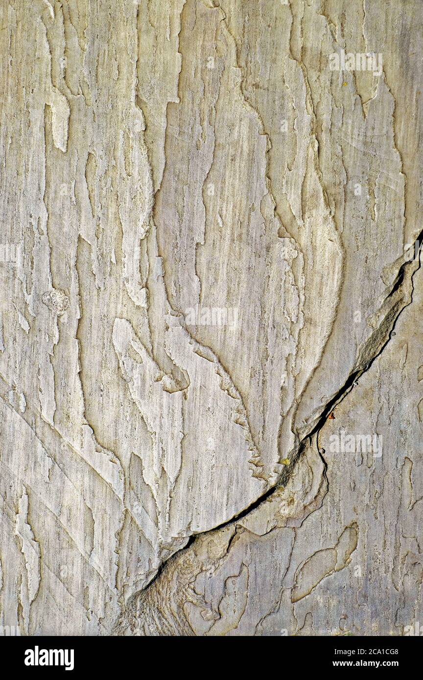 Angular slate hi-res stock photography and images - Alamy