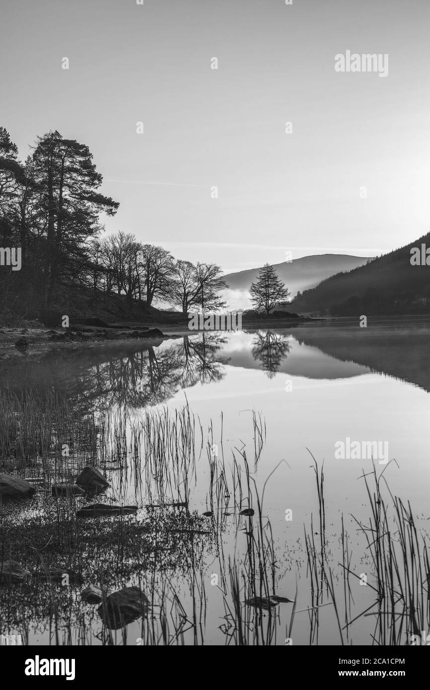 Stunning woodland scenery Black and White Stock Photos & Images - Alamy