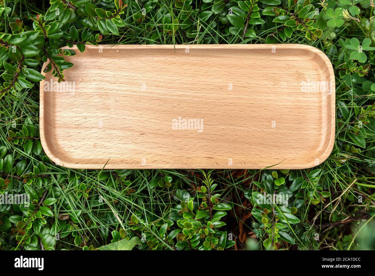 Wooden stand on green grass. Empty wooden capacity top view Stock Photo ...