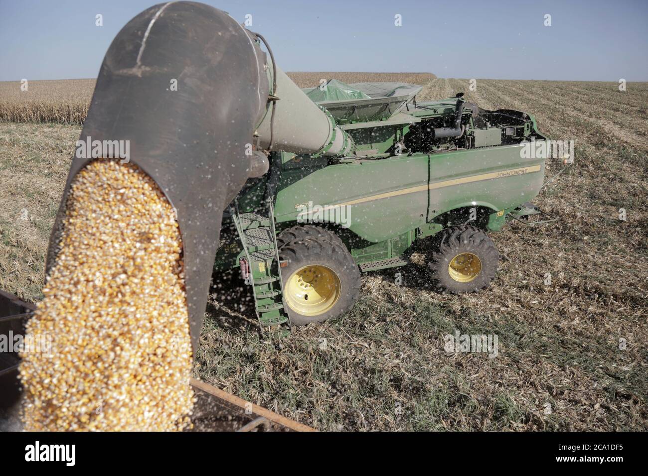 CAMPO MOURÃO, PR - 03.08.2020: COLHEITA DE MILHO SAFRINHA NO PR ...