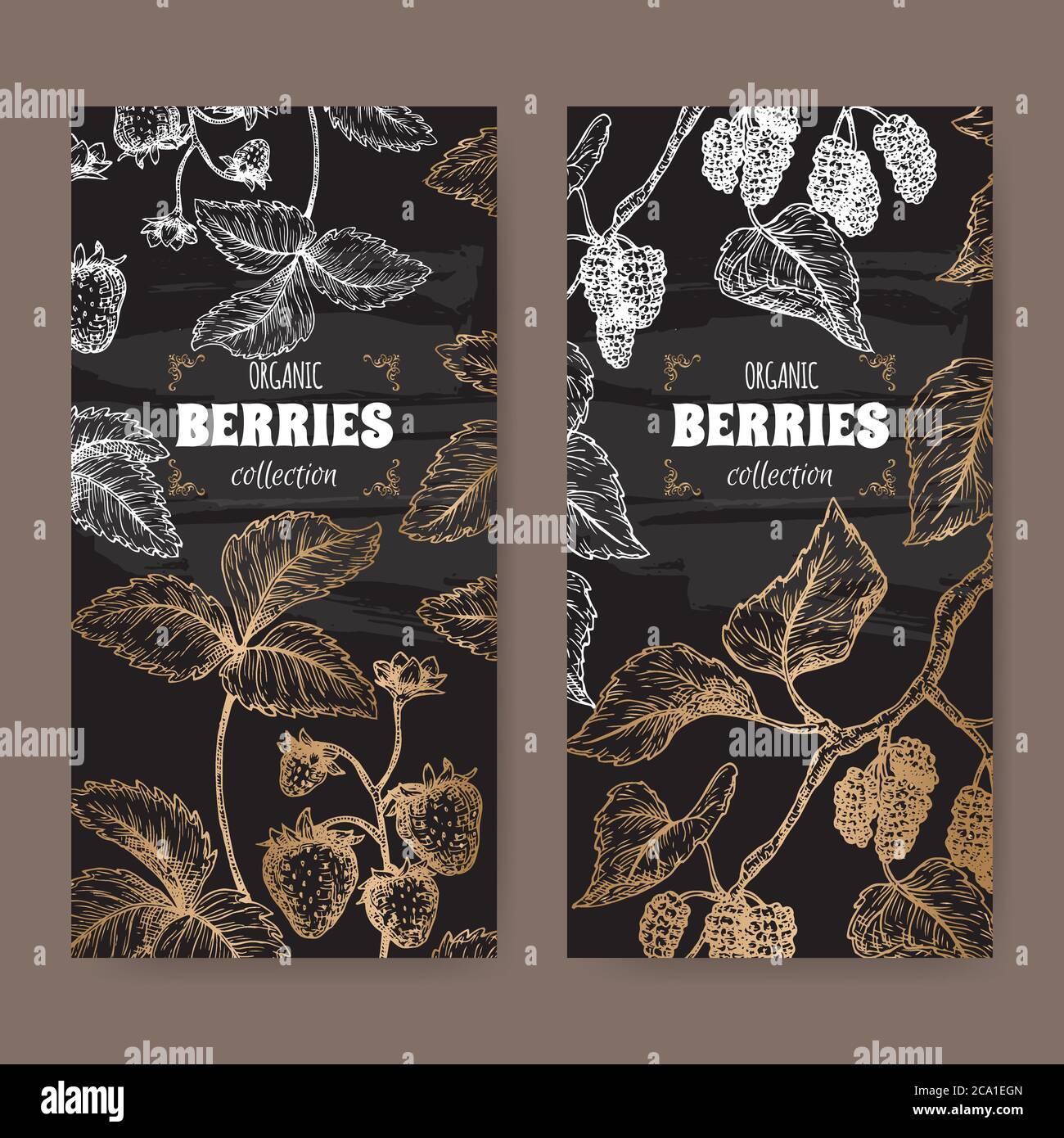 Two labels with garden strawberry aka Fragaria ananassa and Black ...