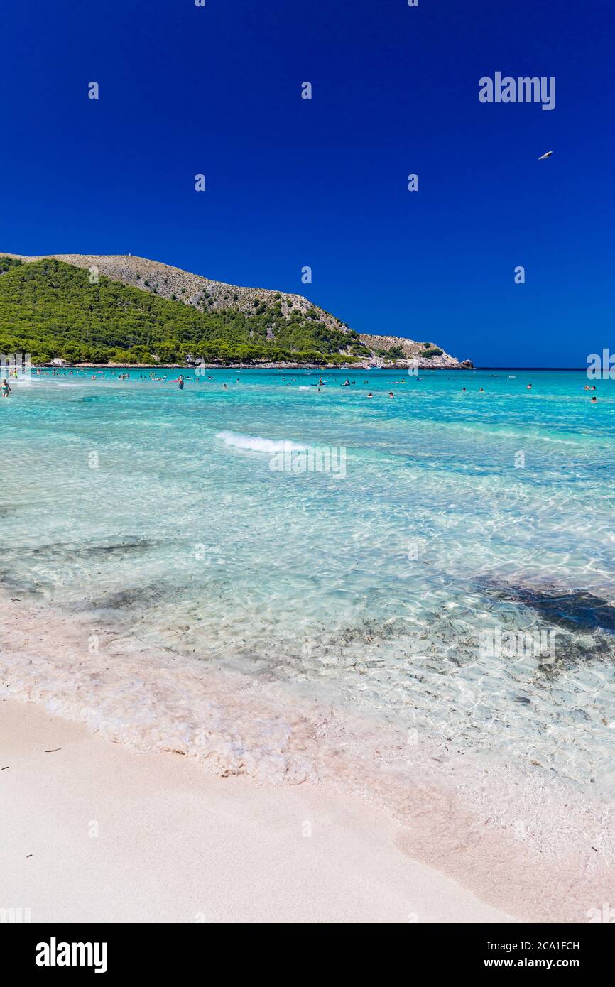 Cala Agulla with amazing sand beach Spain, Balearic Islands, Mallorca ...
