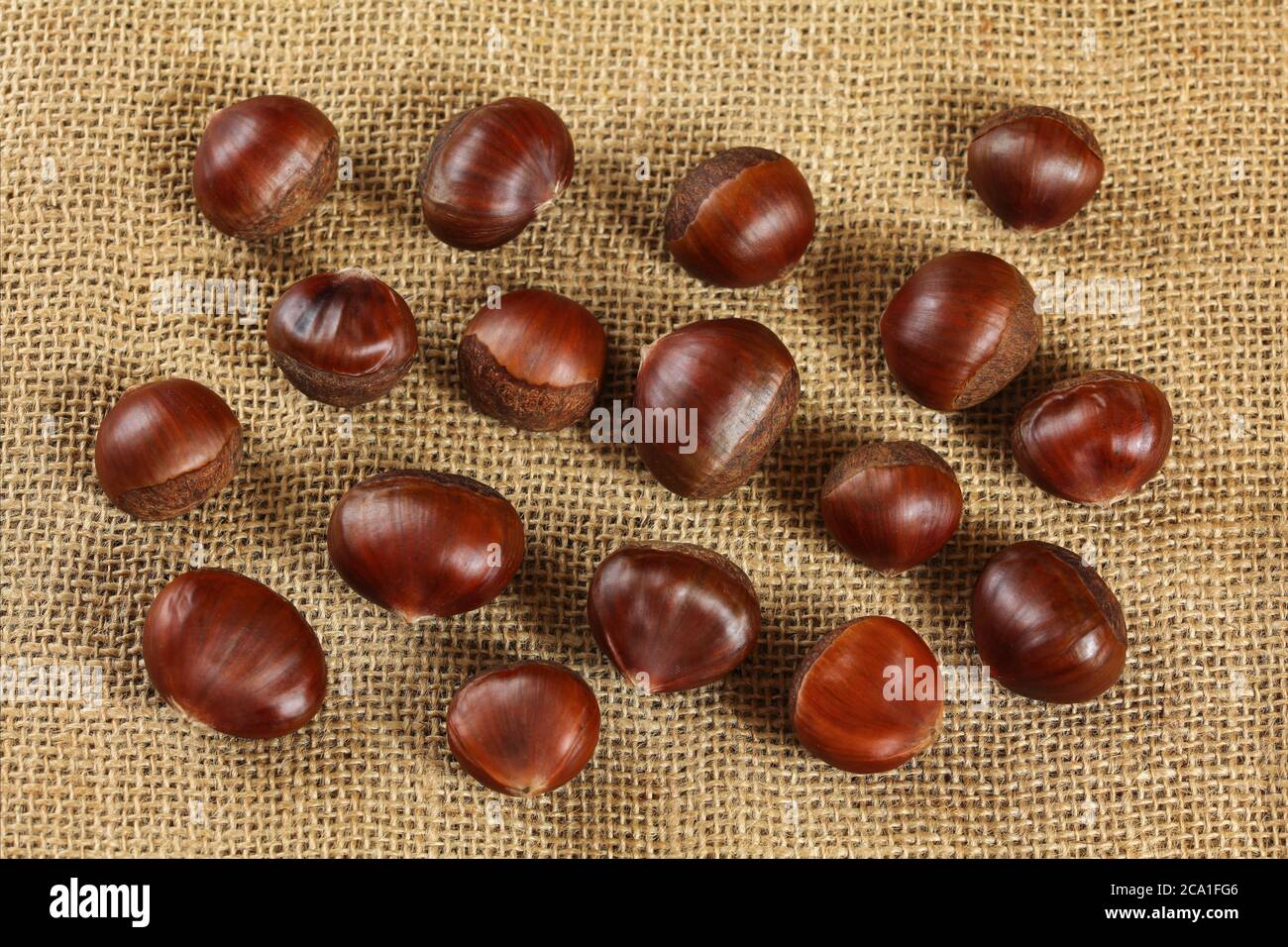 Skin Of The Jute Plant High Resolution Stock Photography and Images - Alamy