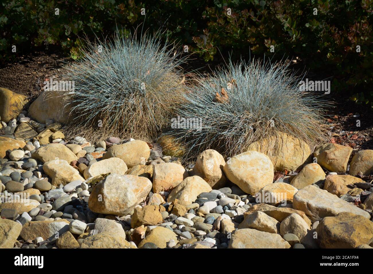 Arroyo seco river hi-res stock photography and images - Alamy