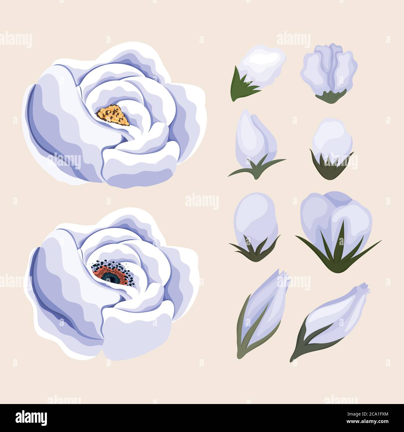 white flower painting design, natural floral nature plant ornament ...