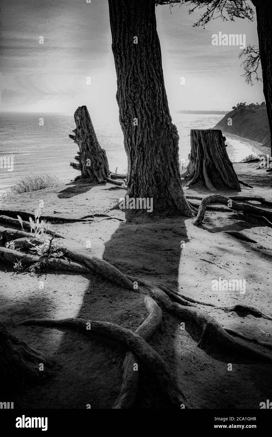Dramatic Sun flaring view of the Pacific Ocean from the Douglas ...