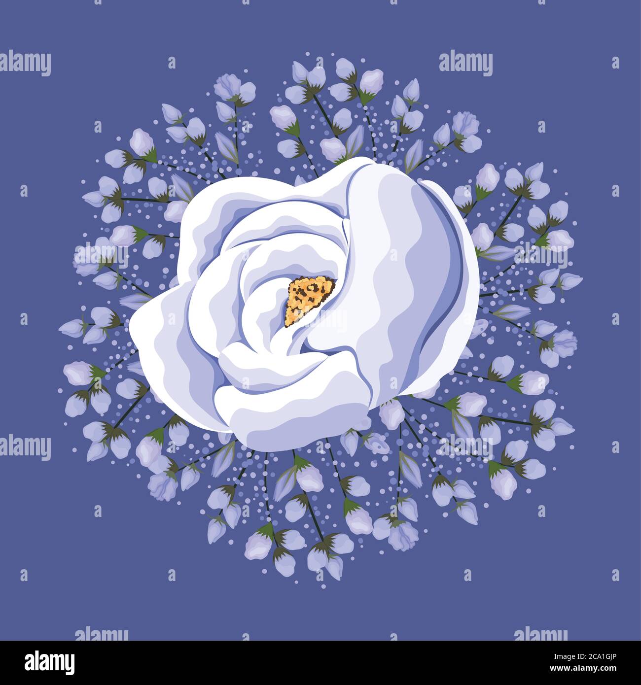 white rose flower painting design, natural floral nature plant ornament ...