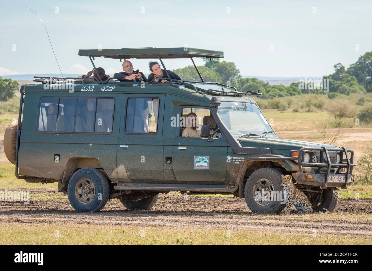 Human leopard hi-res stock photography and images - Alamy