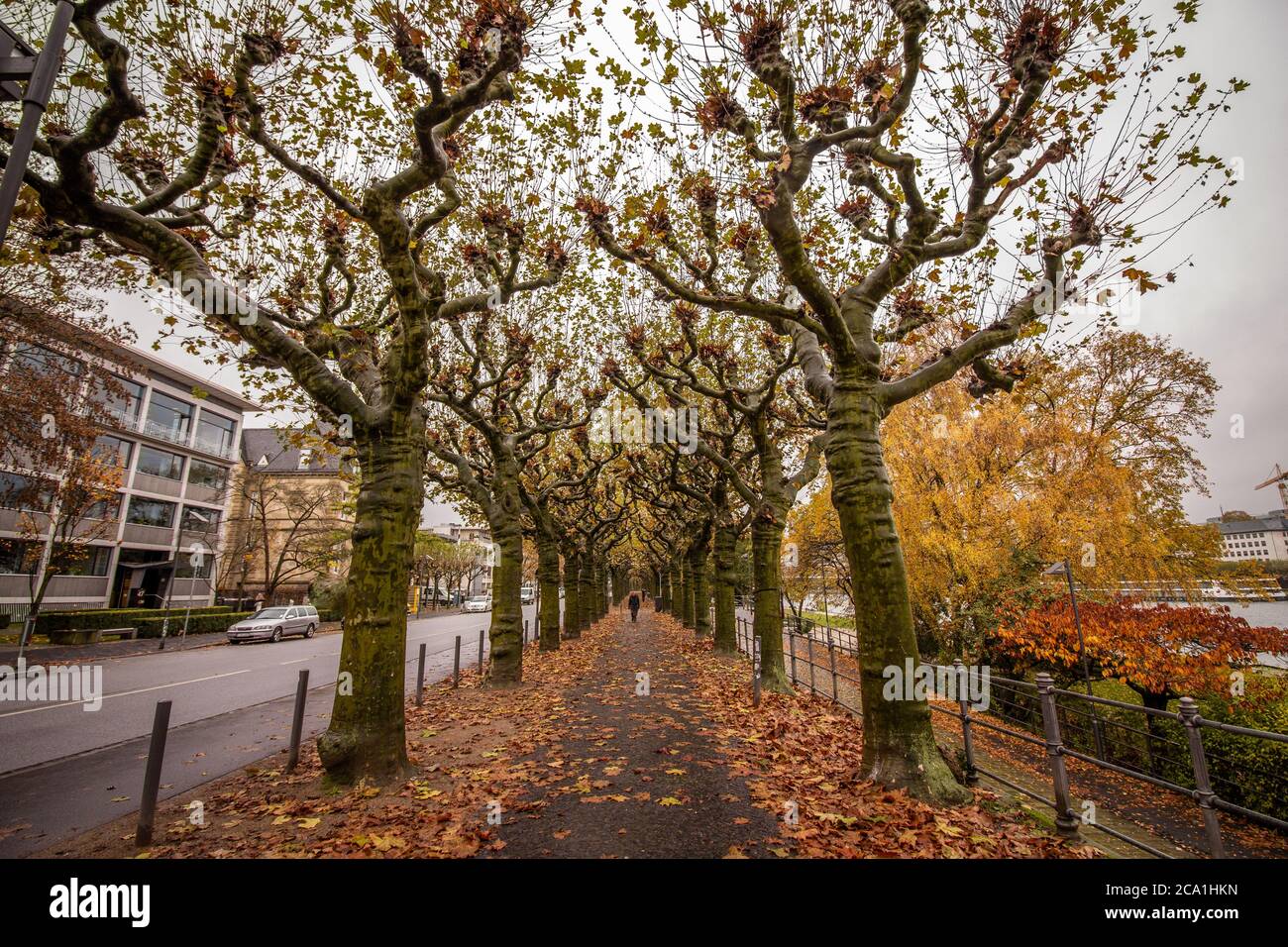 Colorful autumn at Nizza Park in Frankfurt am Main, Germany Stock Photo ...