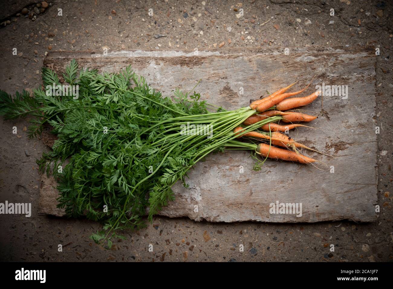 Picked veg hi-res stock photography and images - Alamy