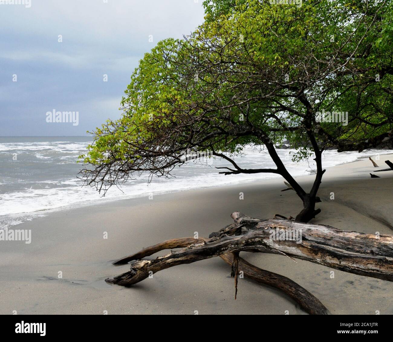 Costa Rico beach Stock Photo - Alamy