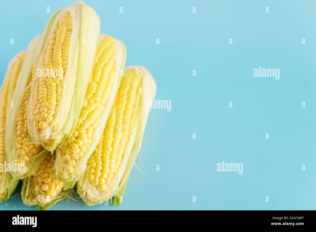 vegetables and fruits, agriculture, gastronomy, harvest concept ...