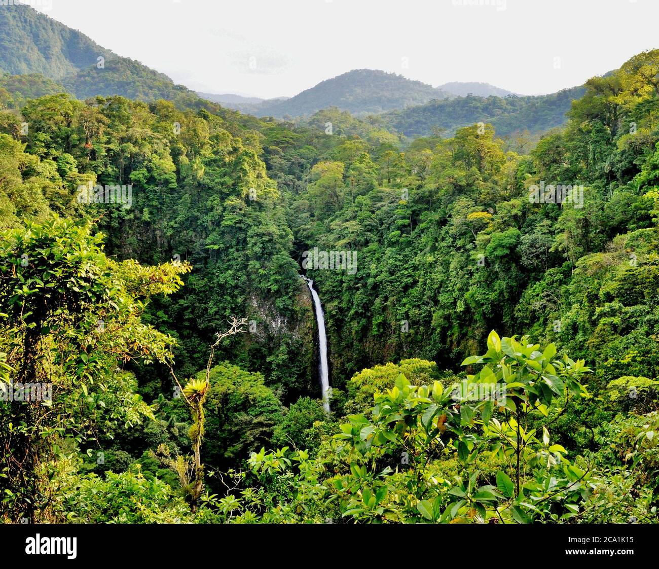 Costa Rico rainforest waterfall Stock Photo - Alamy