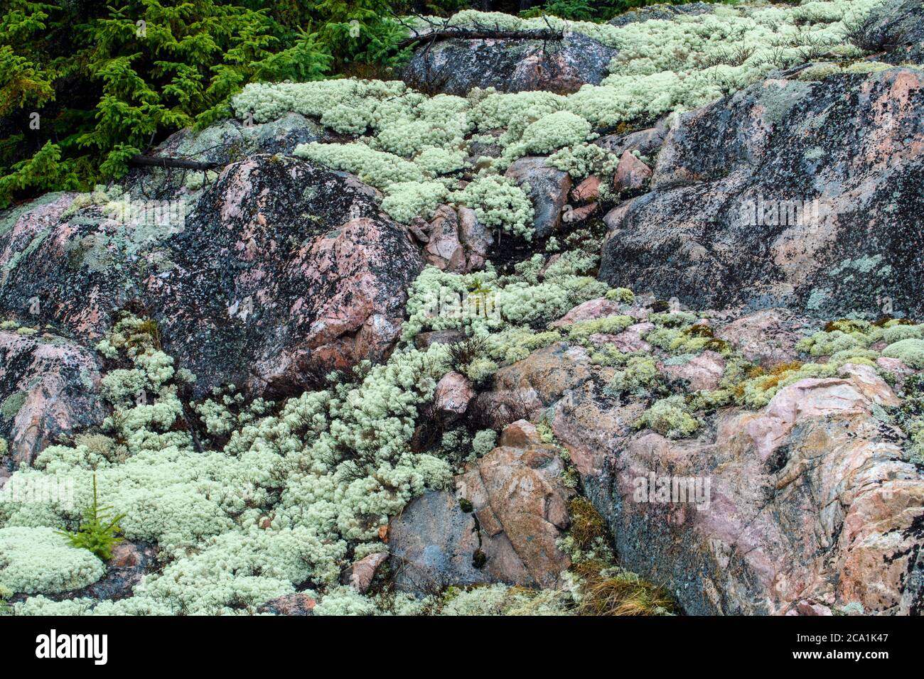 Pre cambrian granite outcrops hi-res stock photography and images - Alamy