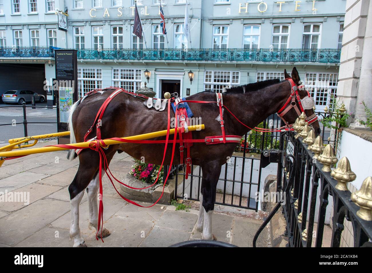Pony traps hi-res stock photography and images - Alamy
