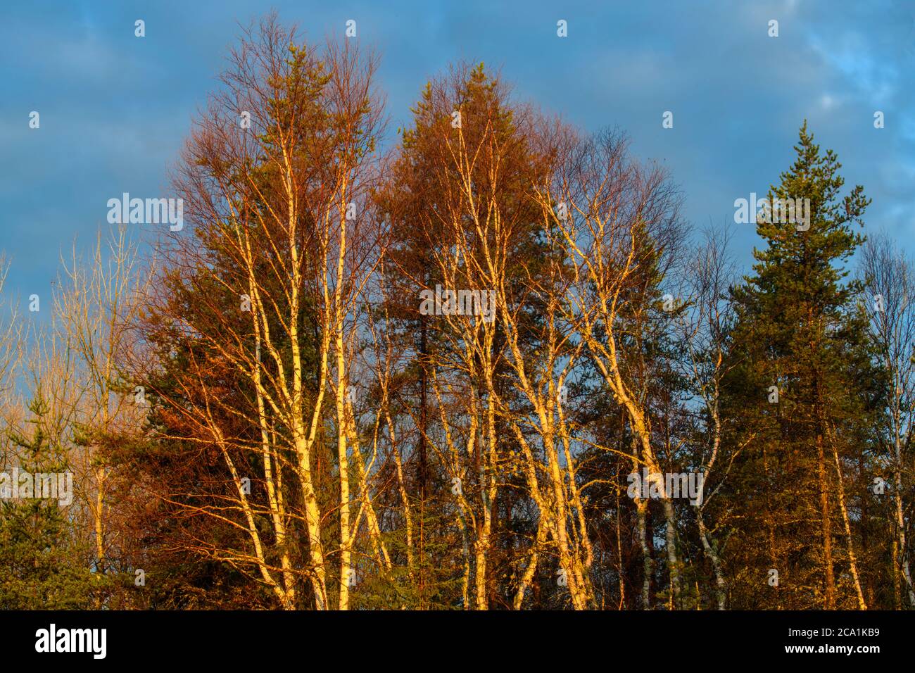 Timmins, ontario hi-res stock photography and images - Alamy