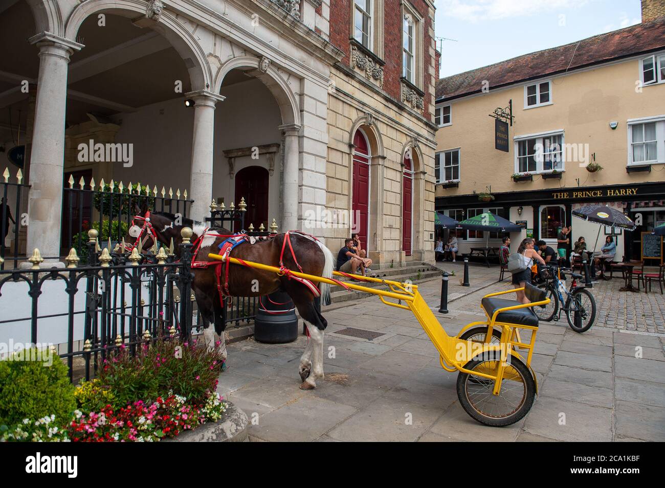 Traveller pony hi-res stock photography and images - Alamy